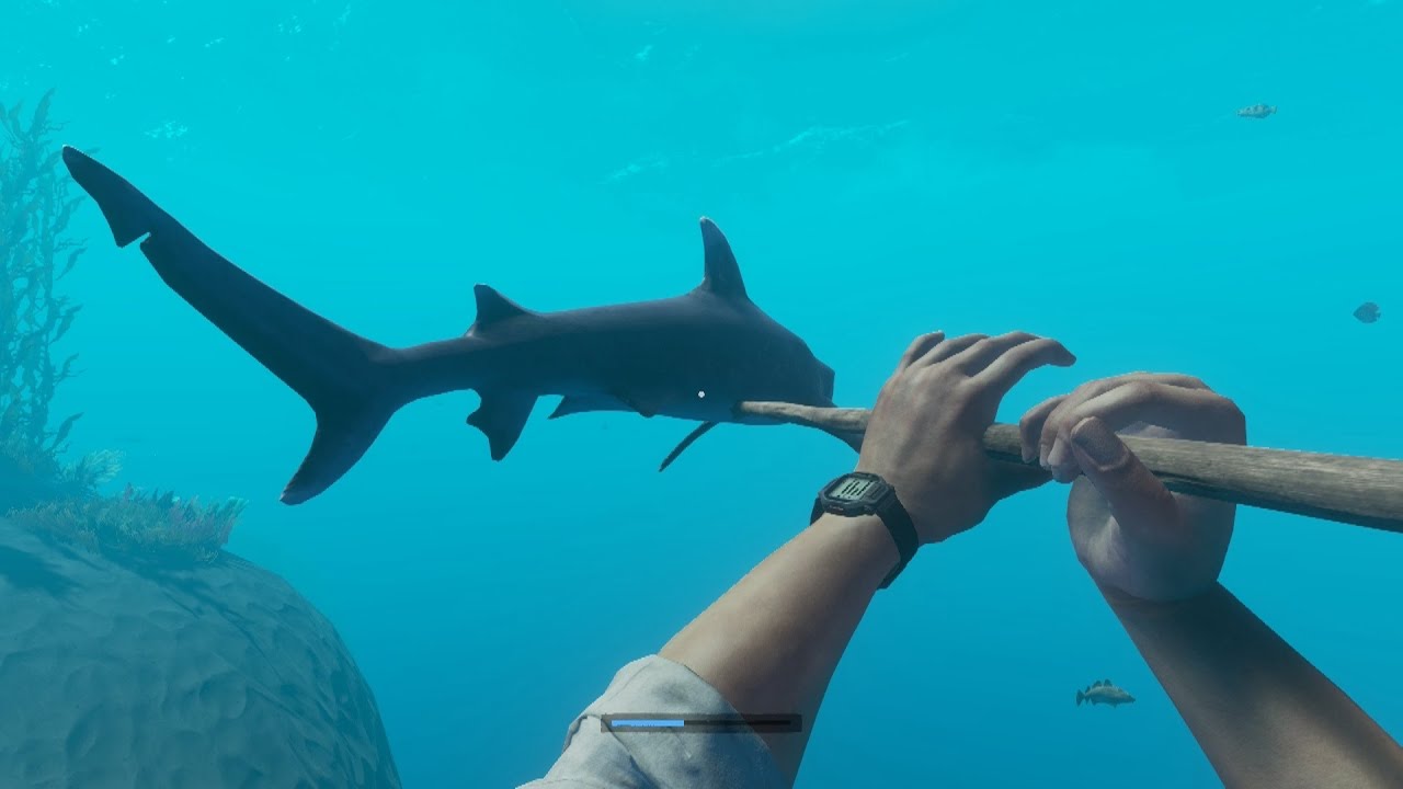 BRUTAL SHARK HUNT in Stranded Deep game on pc - YouTube