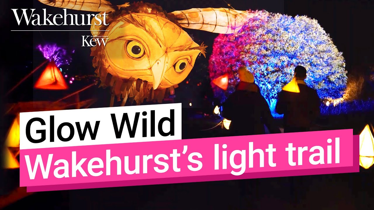 Glow Wild | Wakehurst - YouTube