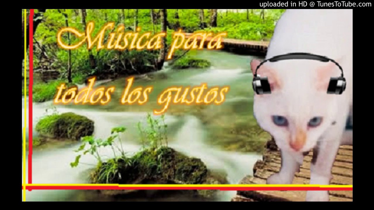 Che Che Cole Willie Colon Hector Lavoe - YouTube