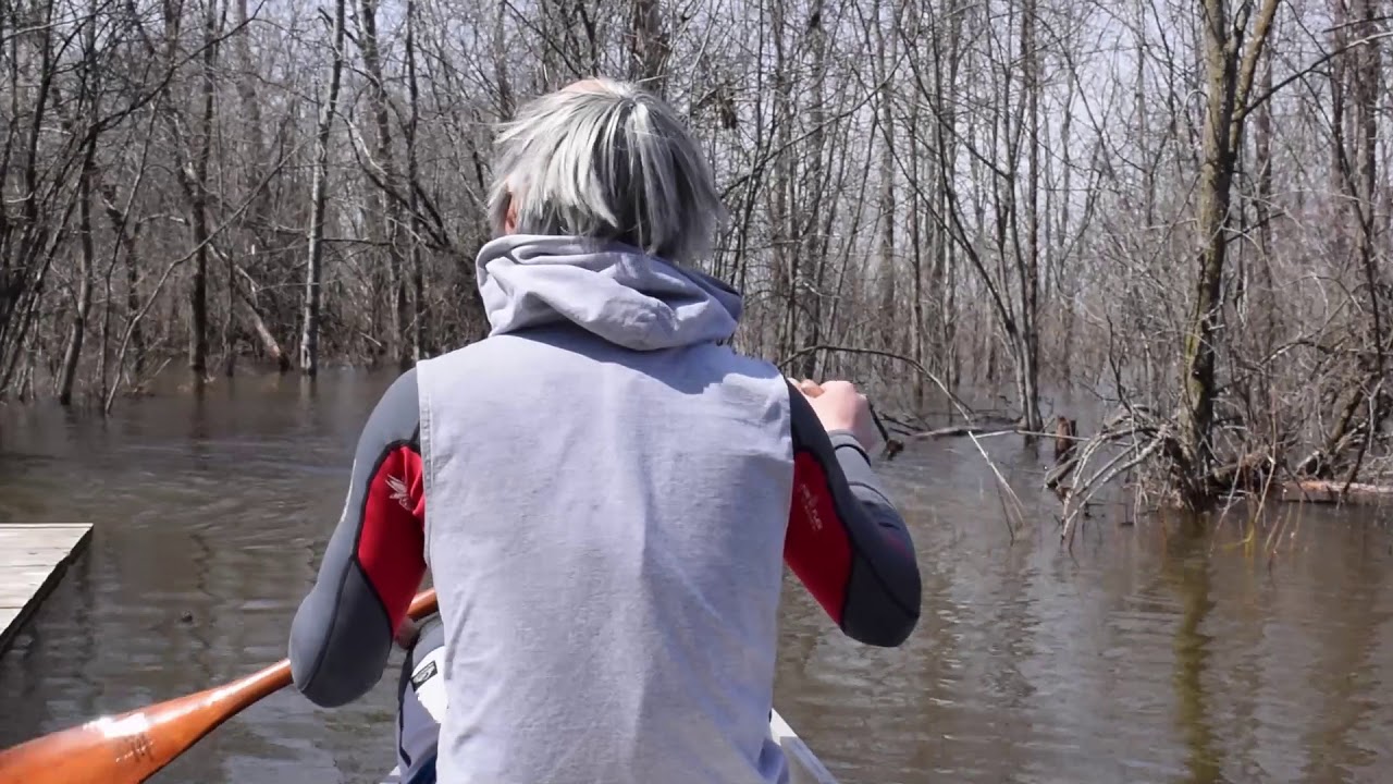 MASSIVE CROC IN CANADIAN FOREST!! - YouTube