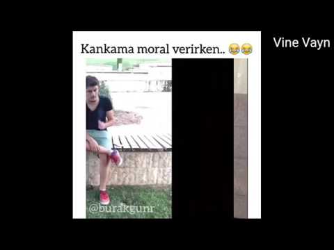Duman altı vineleri
