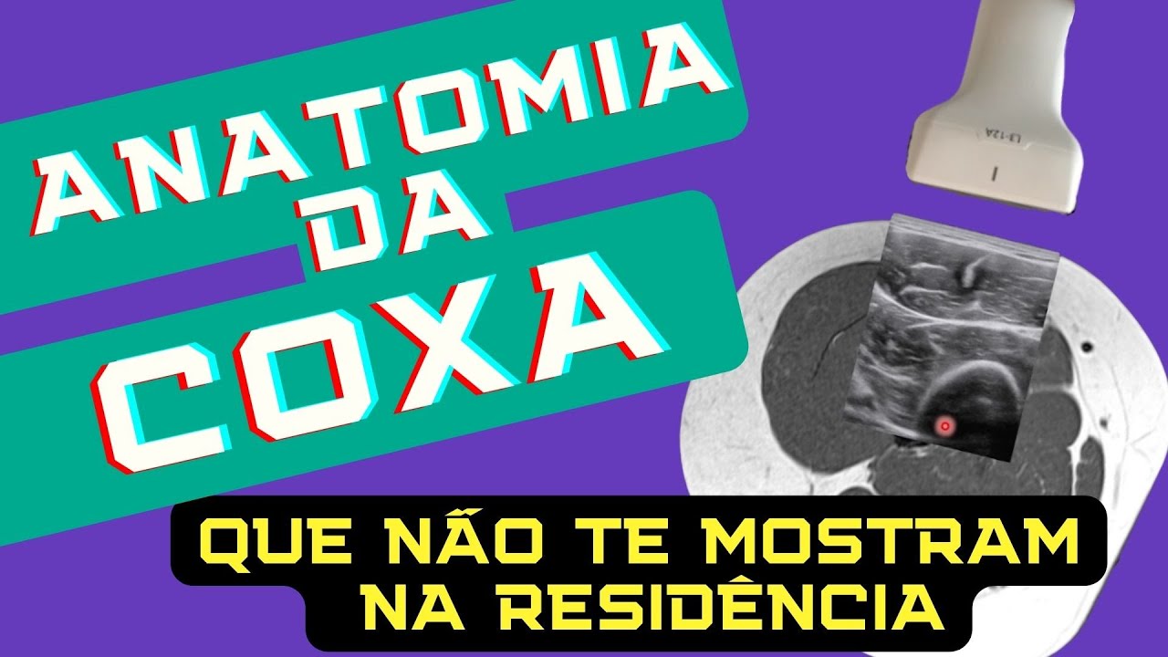 ANATOMIA COMPLETA DA COXA - A BASE DO ULTRASSOM E RESSONÂNCIA QUE NÃO ...