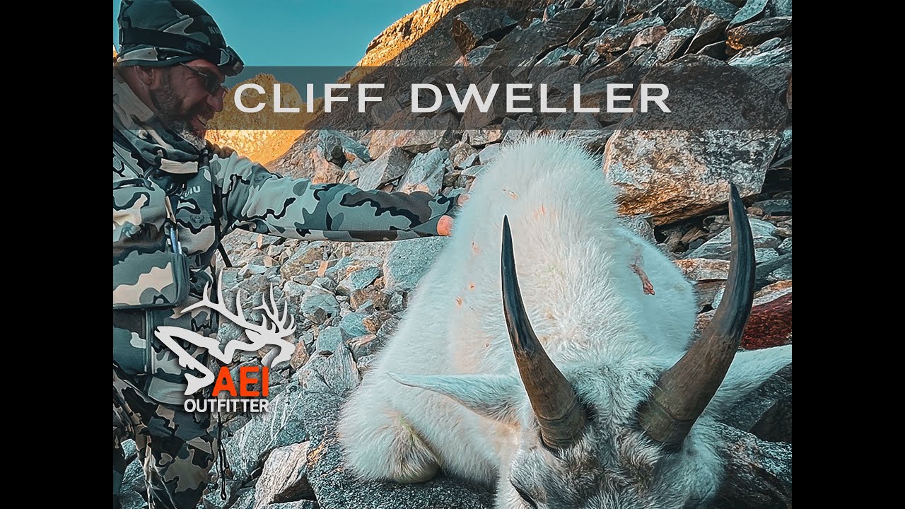 Cliff Dweller - An Epic Colorado Mountain Goat Hunt - YouTube