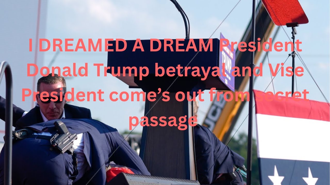 DREAMED A DREAM President Donald Trump Betrayed: Vice President Vance ...