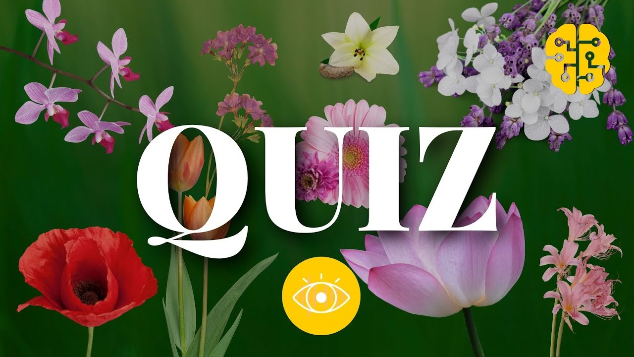 QUIZ FLOWERS - Guess the name of those 10 flowers - Answer given in 5 ...