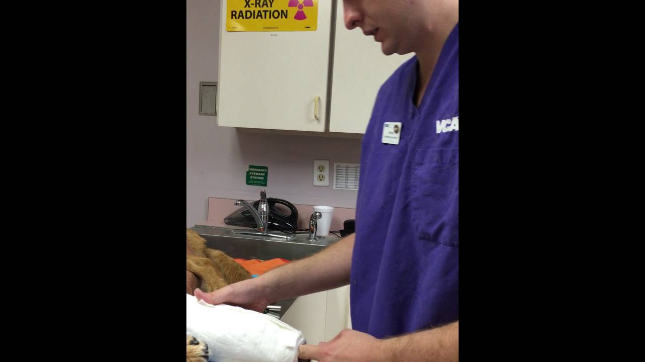 Robert Jones splint - YouTube