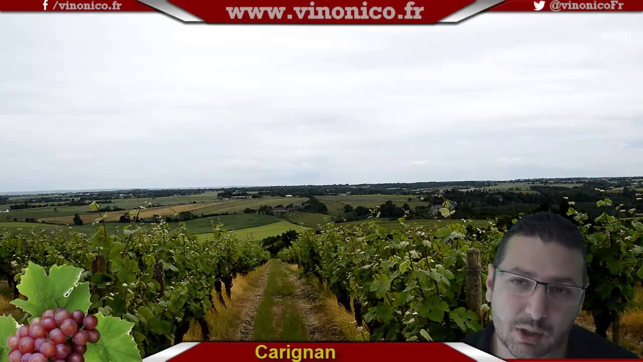 Découverte du Carignan - YouTube