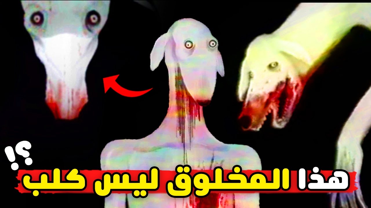 شرح قصة التجربة 0002 الكلب دكستر | Dexter the dog analog horror - YouTube