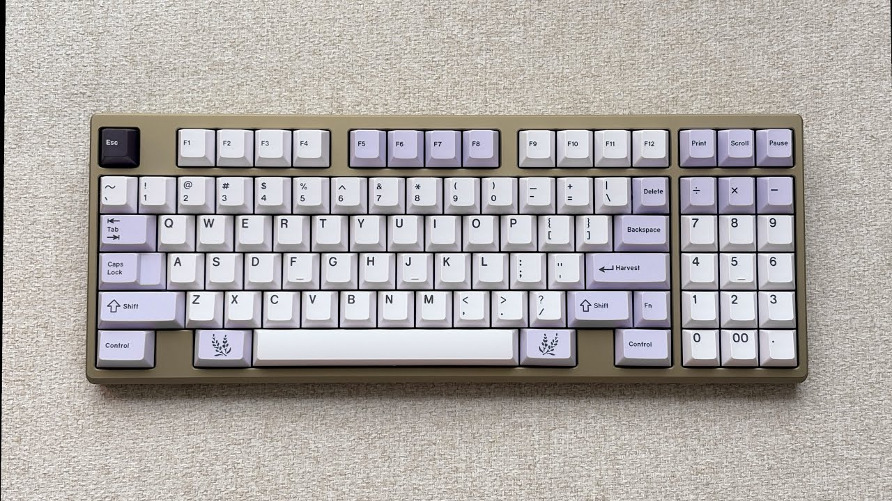 Gateron RAW | Geon Frog TKL 8K (CF plate) | GMK Lavender - YouTube