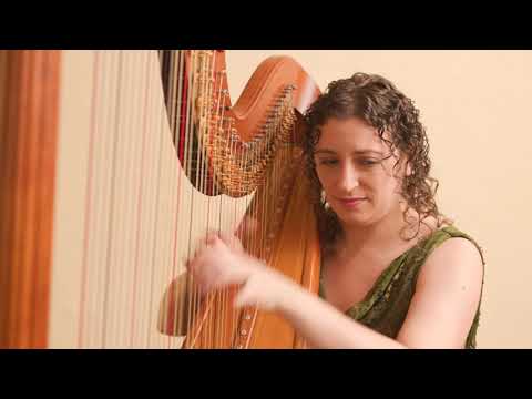 Queen's Gardens from Hollow Knight (Harp Cover)