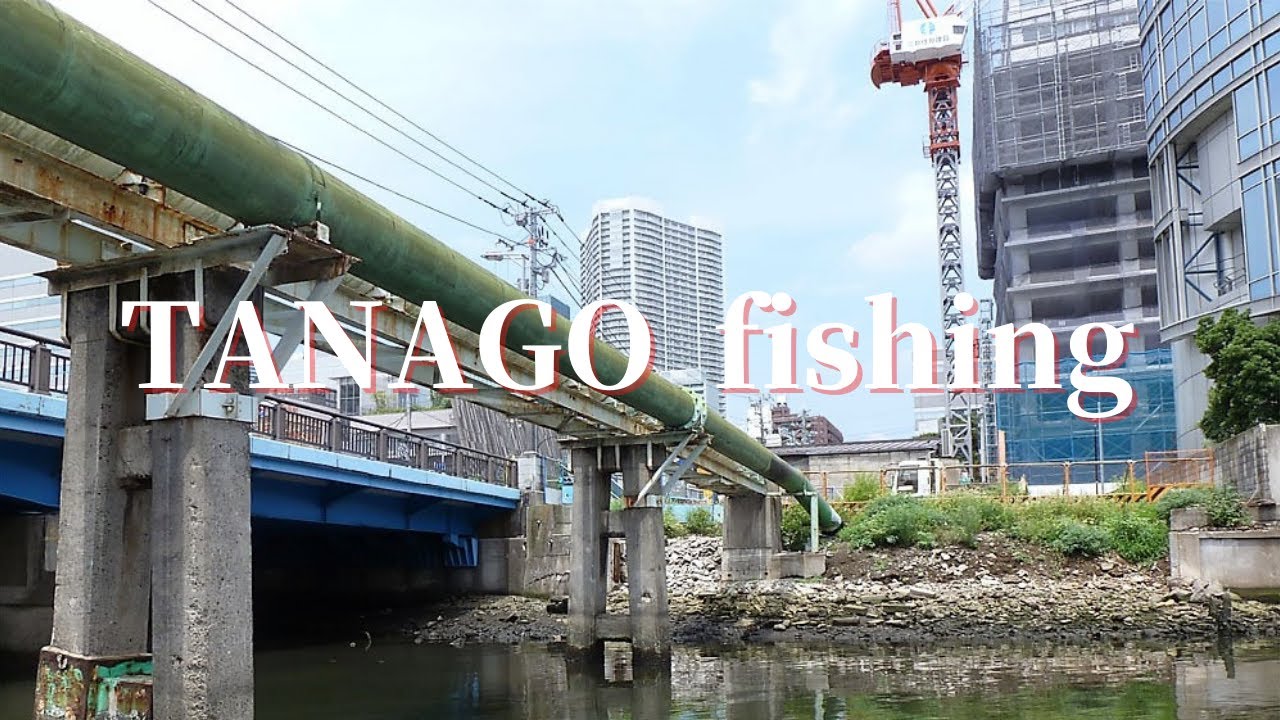 TANAGO micro fishing / Micro fishing japan - YouTube
