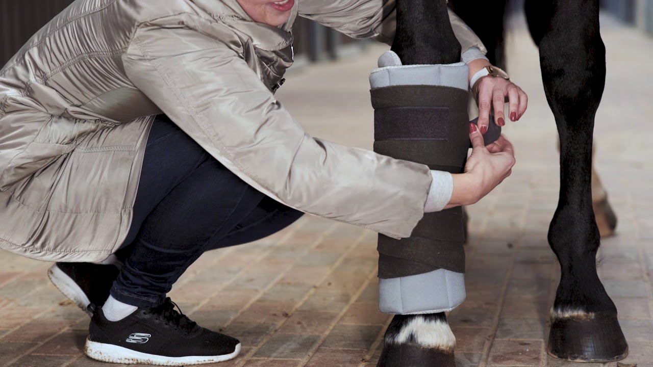 How to apply Circulation Standing Wraps - YouTube