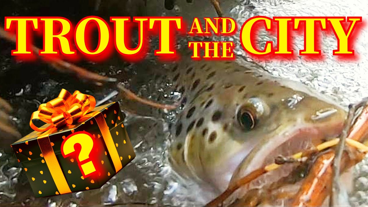 Urban Trout Fishing Sofia Bulgaria Get In! - YouTube