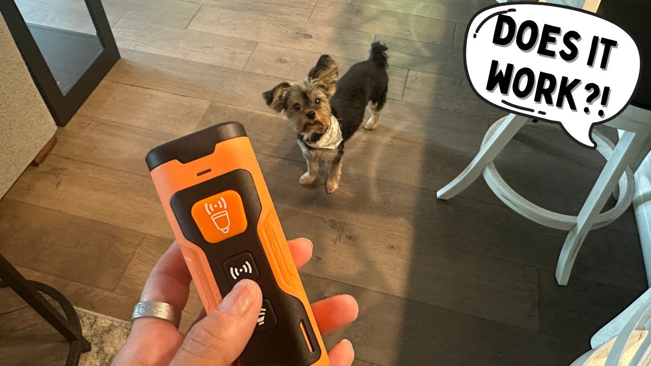 Dog Bark Deterrent - Ultrasonic Training Device for Own or Neighbor's ...
