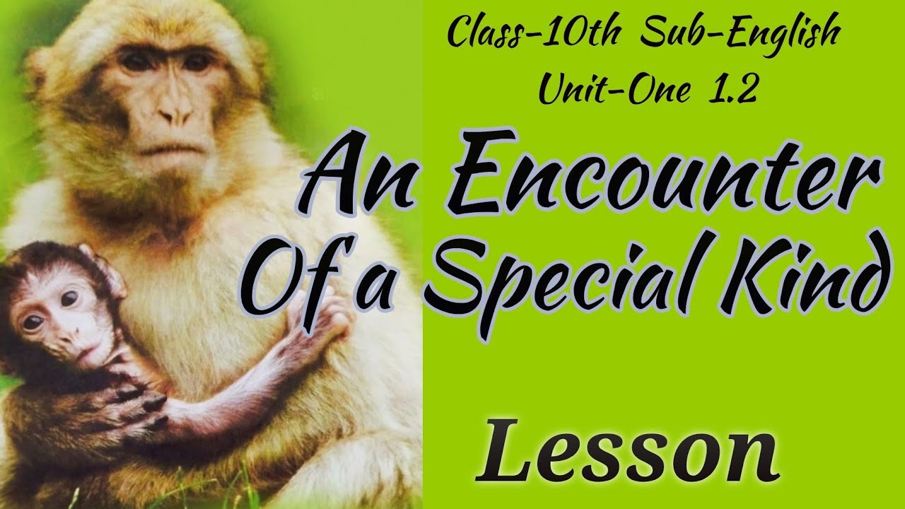 An Encounter Of A Special Kind YouTube an-encounter-of-a-special-kind-youtube