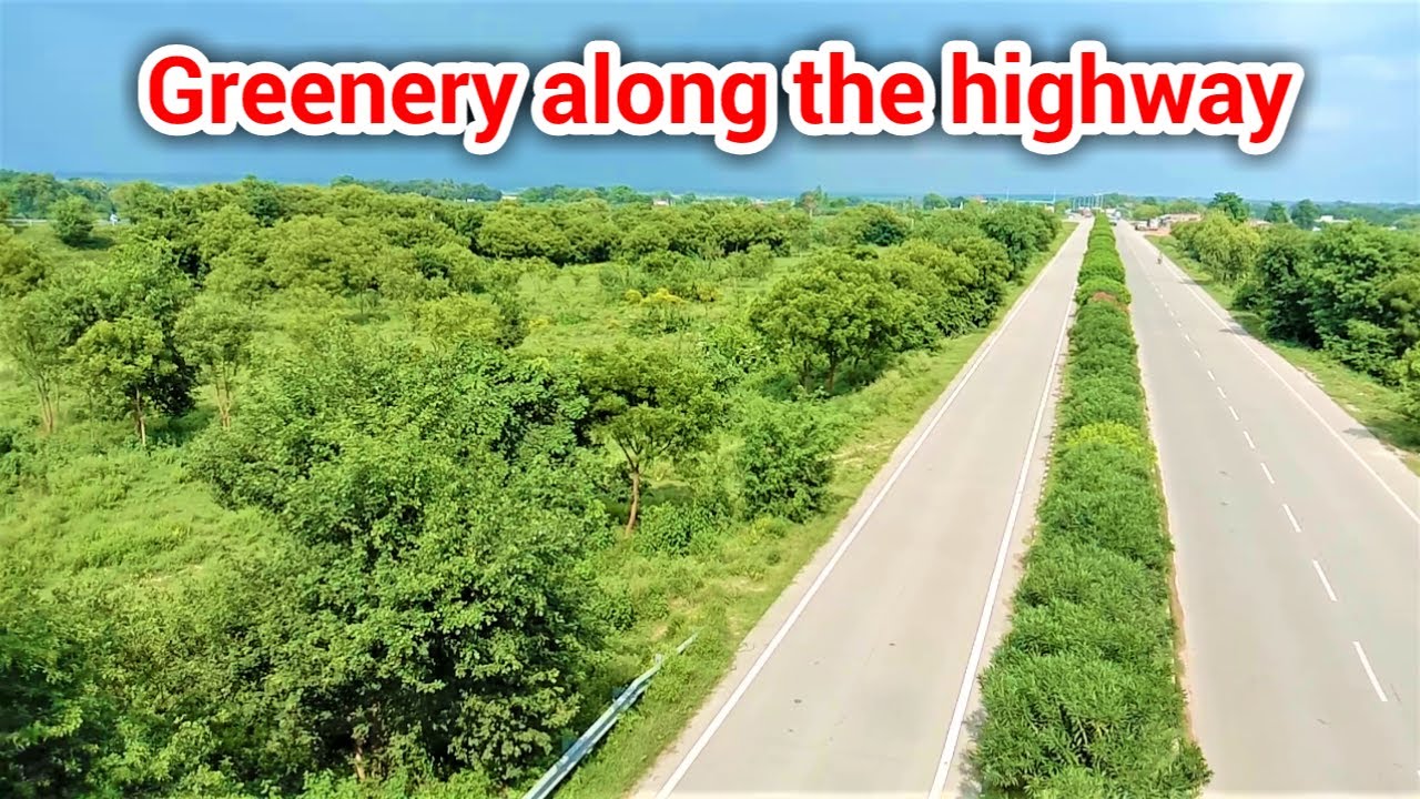 Greenery along the highway | When plants meet Highway | Healthy Highway ...