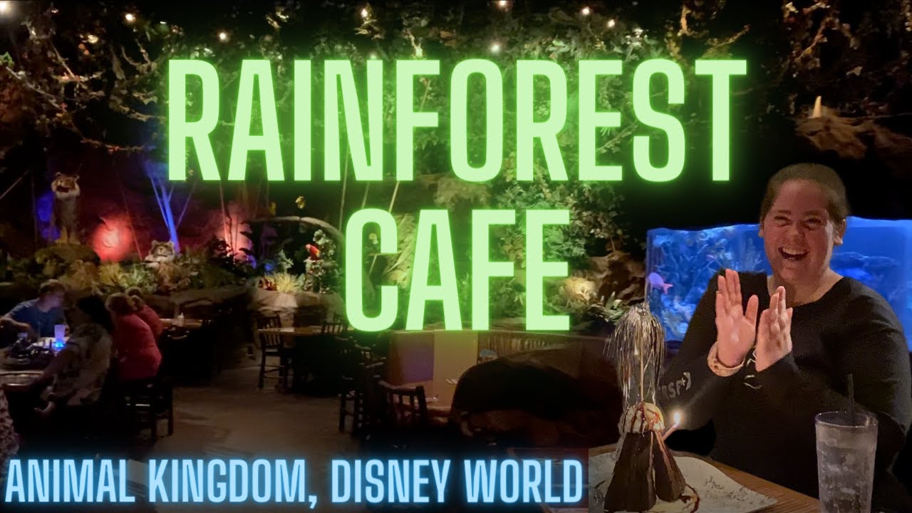 Dining at Rainforest Cafe | Animal Kingdom Walt Disney World - YouTube