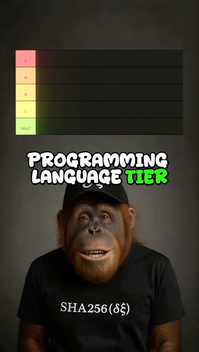 Programming Language Tier List - YouTube
