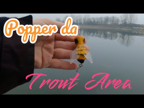TROUT AREA LURE-HANDMADE POPPER - YouTube