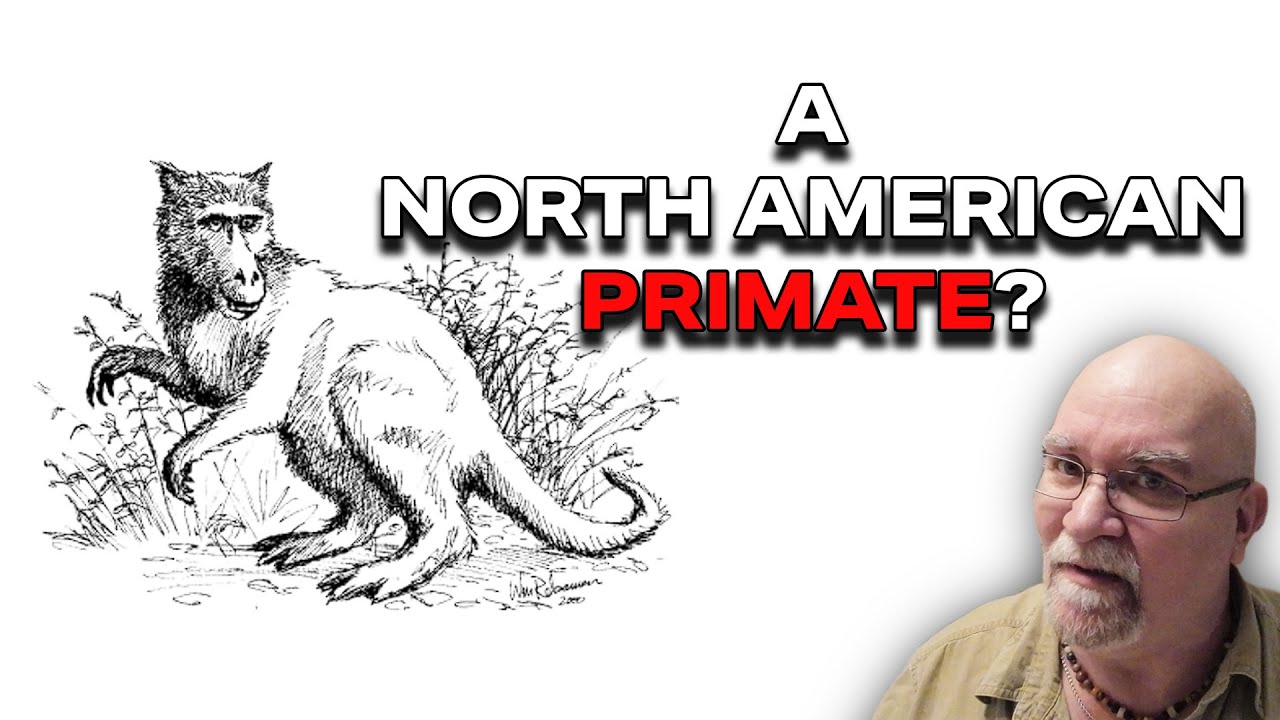 Devil Monkey - Cryptids, Hauntings, and Folklore - YouTube