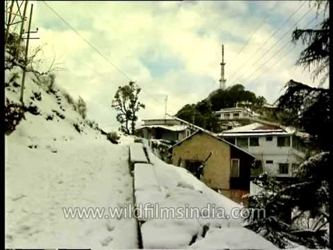 Snowfall in Landour many decades ago! - YouTube