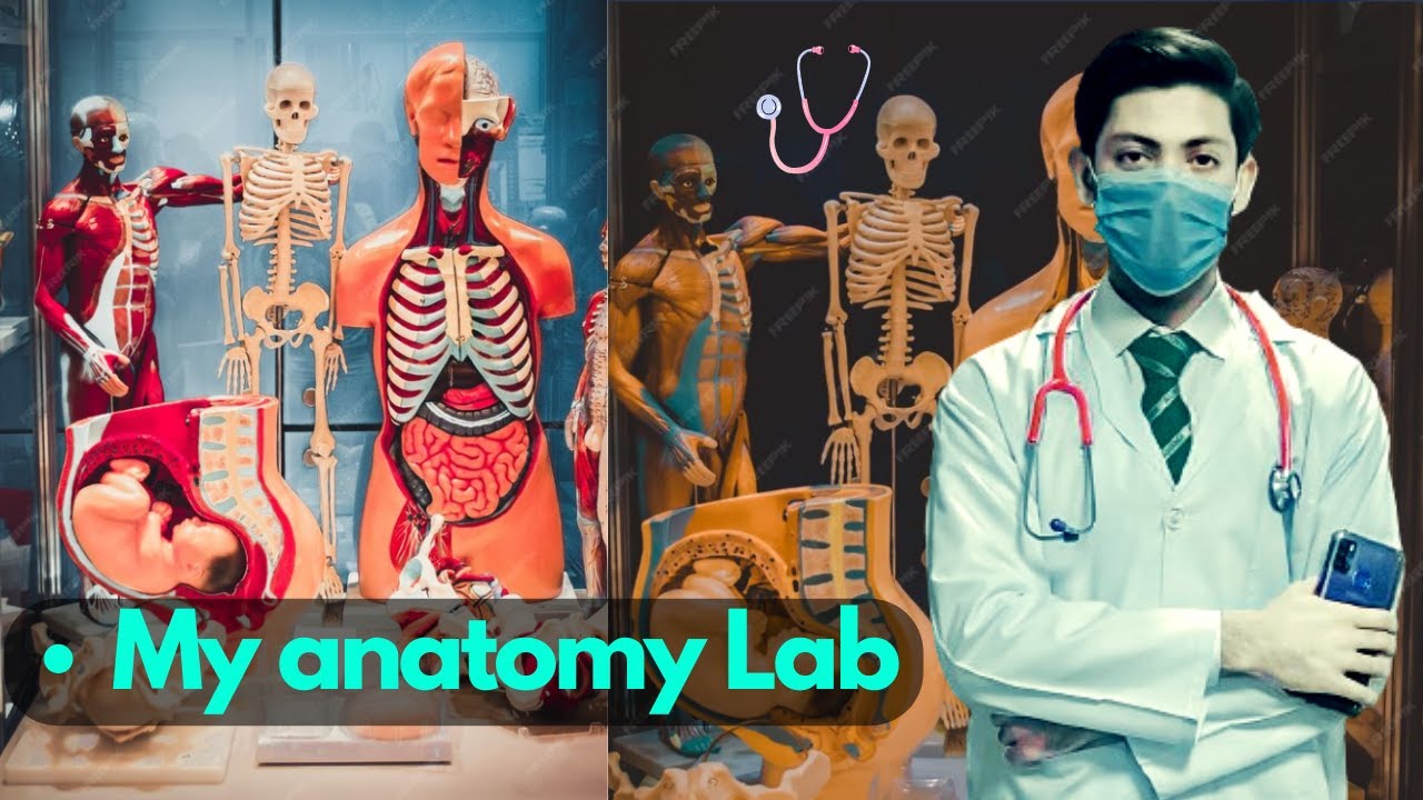 "Inside the Human Body: Exploring the Wonders of Anatomy"? - YouTube