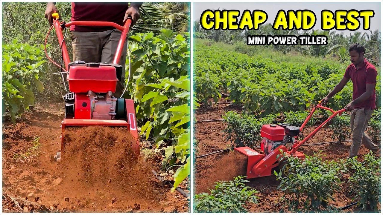 Powerful Mini Power Tiller / Weeder Machine - YouTube