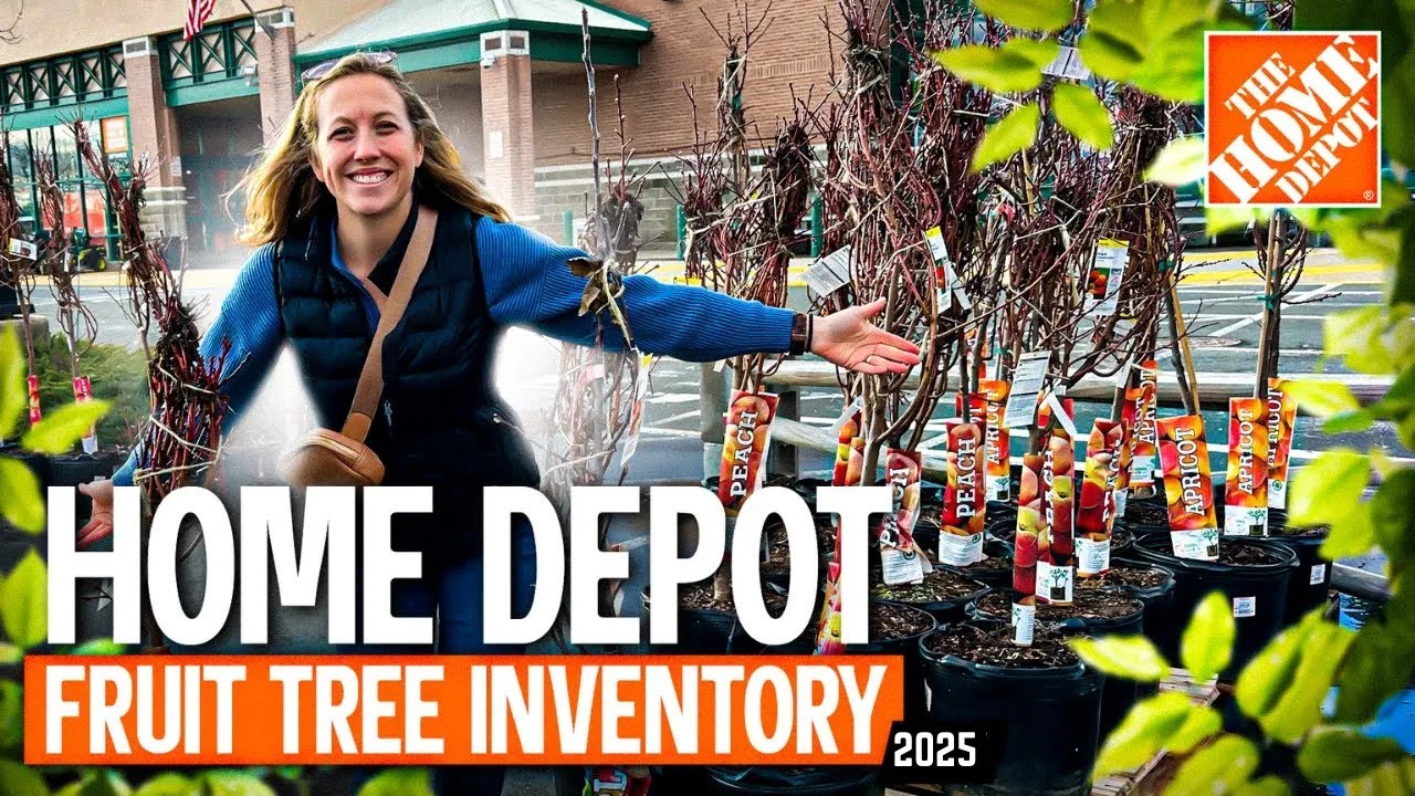2025 UNVEILING: Home Depot's LUSH Fruit Tree Collection! - YouTube