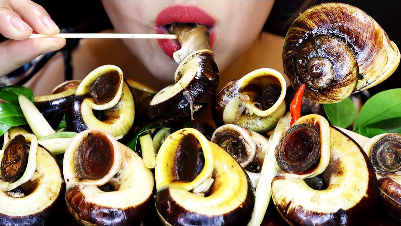 Mountain Snails Stir Fried With Thai Sauce, Ăn Ốc Núi Xào Kiểu Thái ...