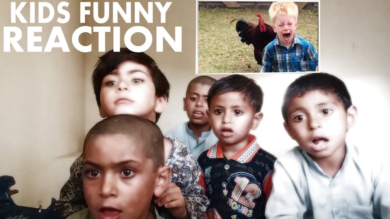 Cute Kids Reaction On Funny Roosters Chasing Kids | Funny Roosters ...