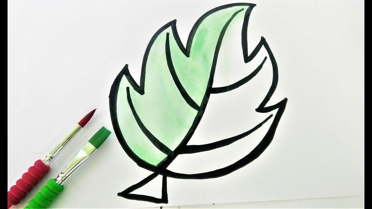 how to draw and color leaf | easy leaf drawing step by step - YouTube