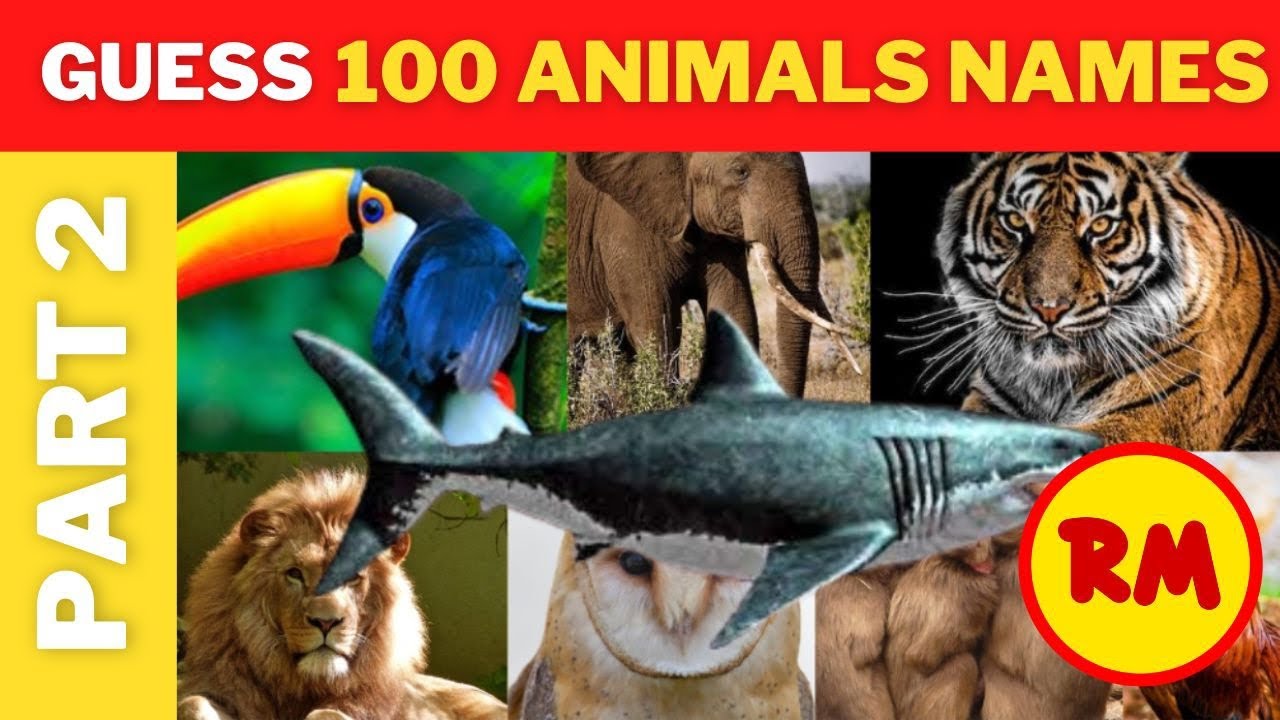 Guess the animals name in 3 sec | 100 animals | quiz guessing game ...