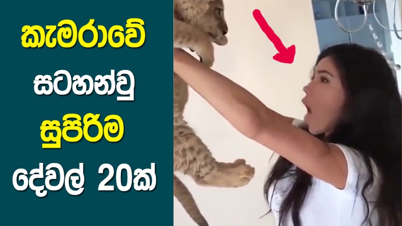 පටිගත නොවුනා නම් කවුරුත් විශ්වාස නොකරන සිද්ධි | abirahas wishwa ...