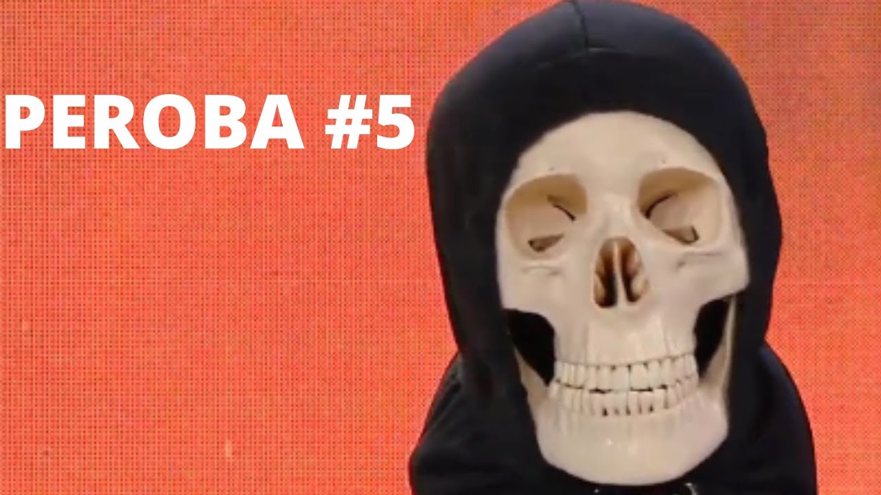 RECADO DO PEROBA #5 - YouTube