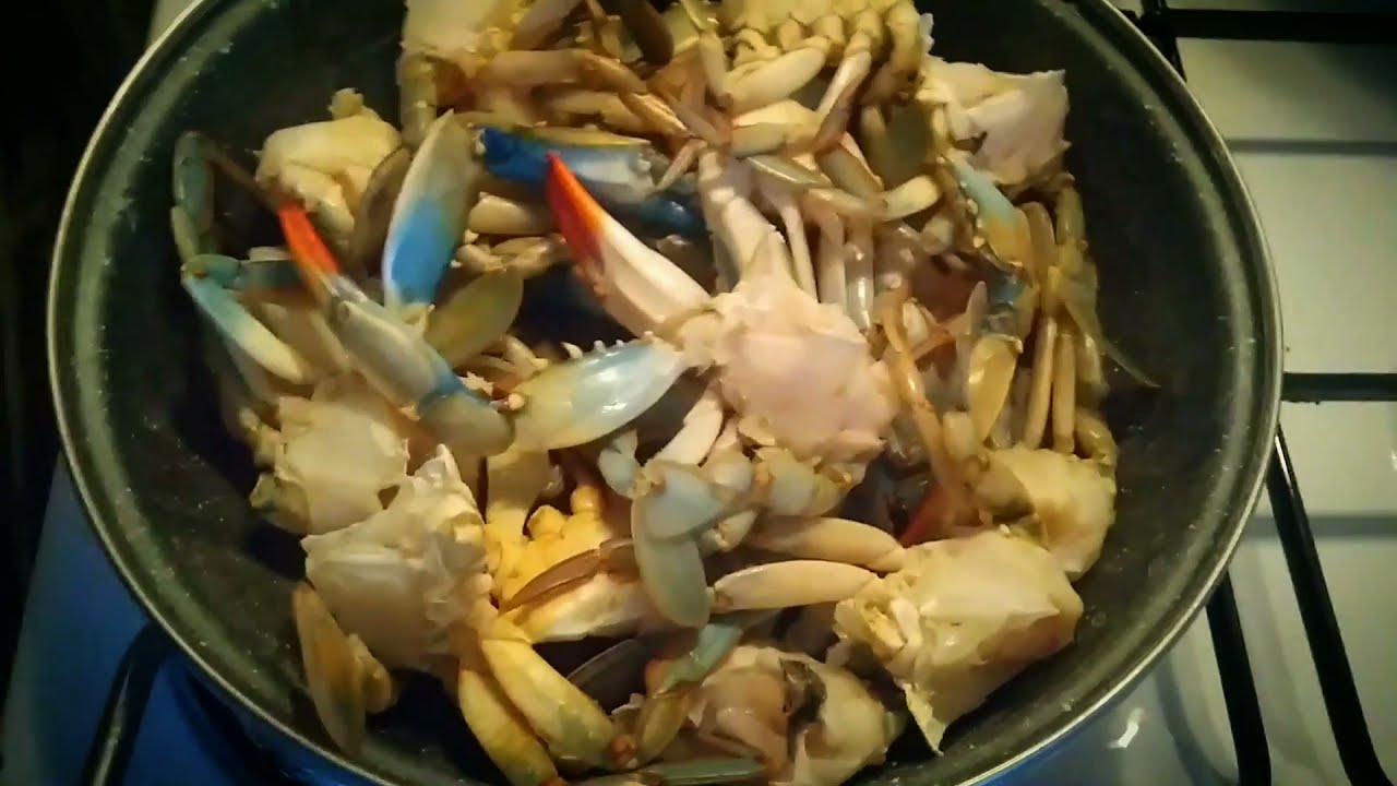 YENGEÇ NASIL PİŞİRİLİR - MAVİ YENGEÇ PİŞİRME - Mavi Yengeç Tarifi mavi ...