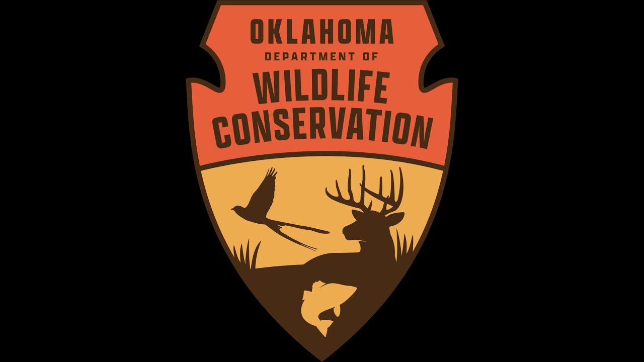 ODWC June 3, 2024 Commission Meeting - YouTube