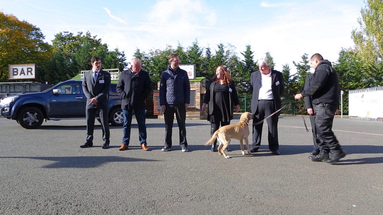 BS 8517 Series for Security and Detection Dogs - Launch event - YouTube