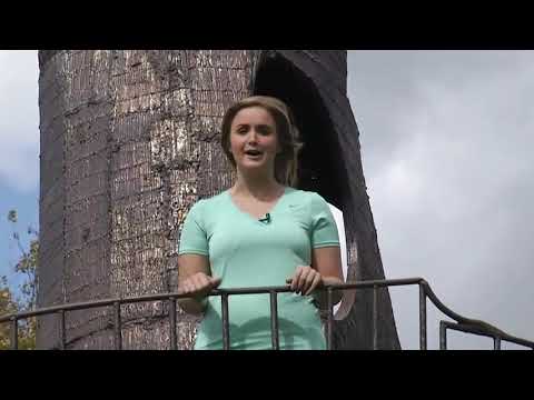 Where Kaylee Wendt: Griffis Sculpture Park - YouTube
