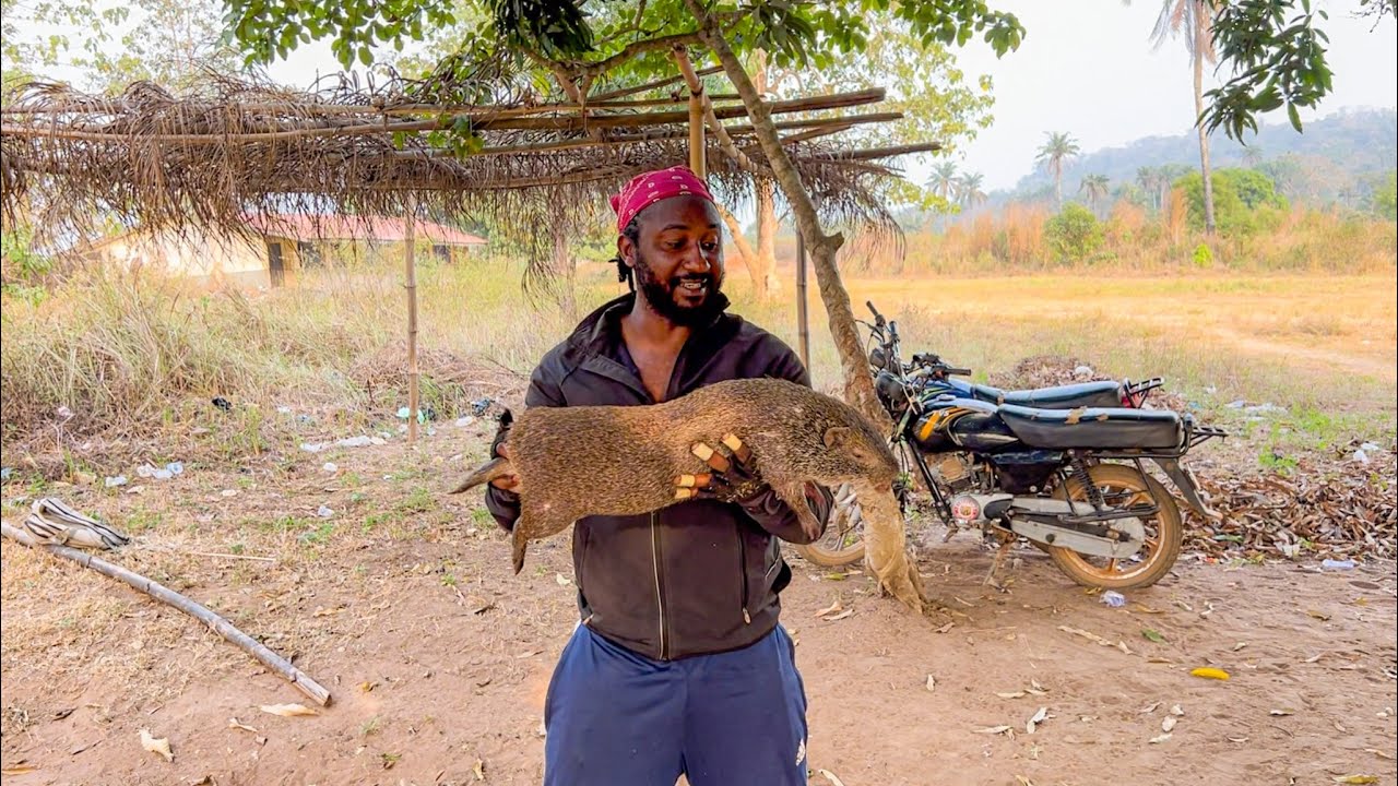 Hunting with Egba Hunters - Nigerian Hunting Style Ep1b - Tales Of Aina ...
