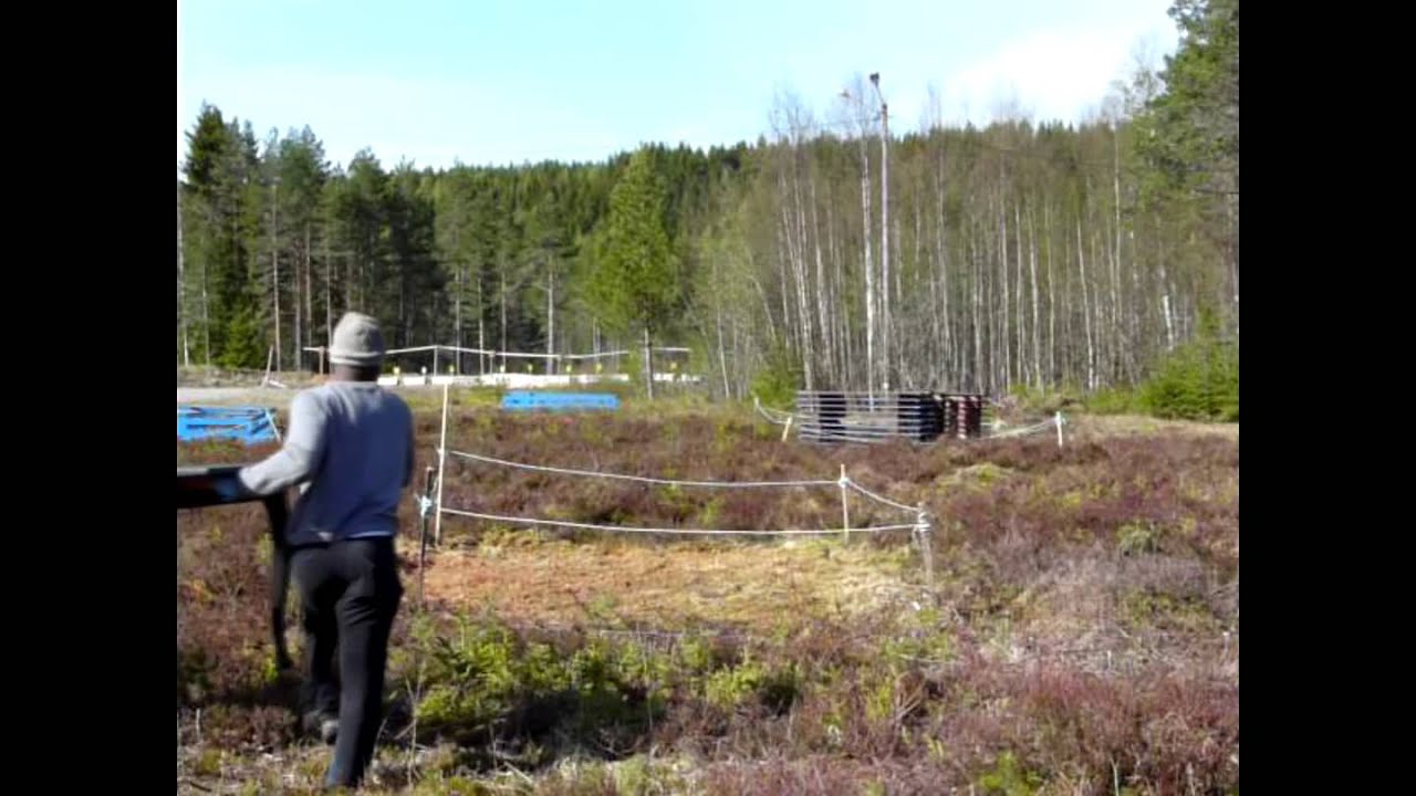 "Encounter" av Eugene Macki - YouTube