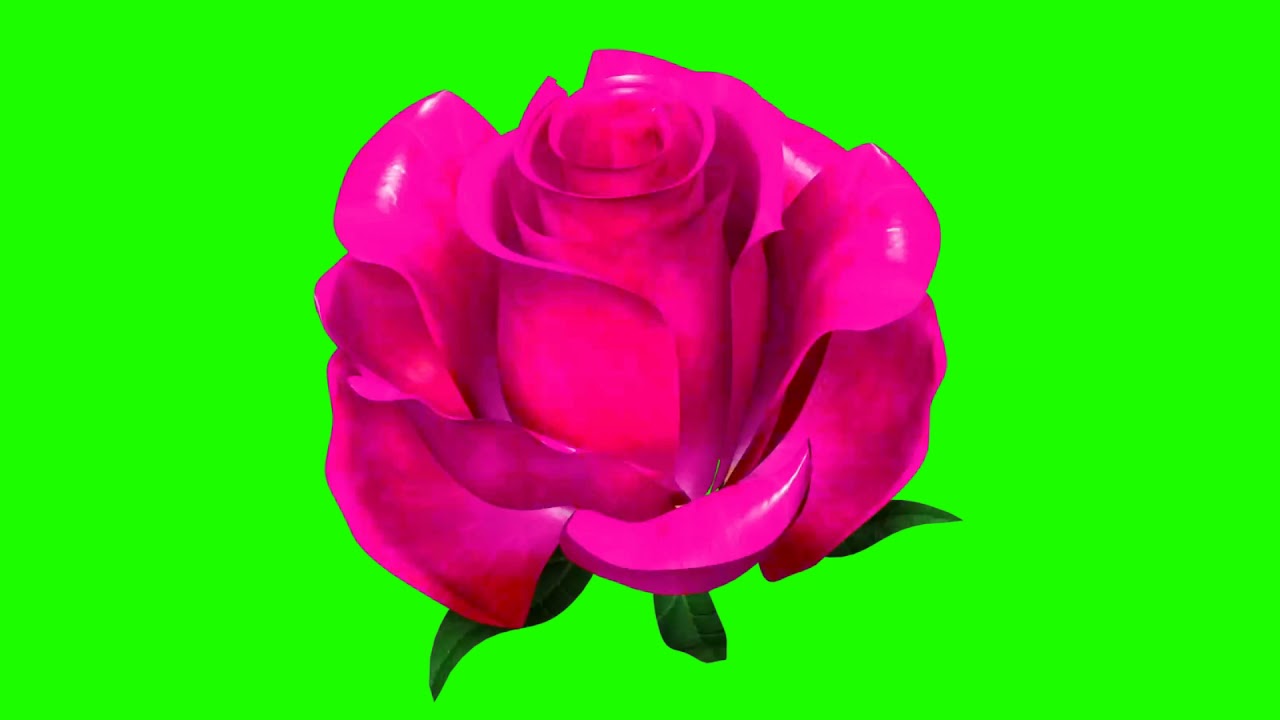 3D Pink Flower in Green Screen Not Allowed To Re-Upload It As Green ...
