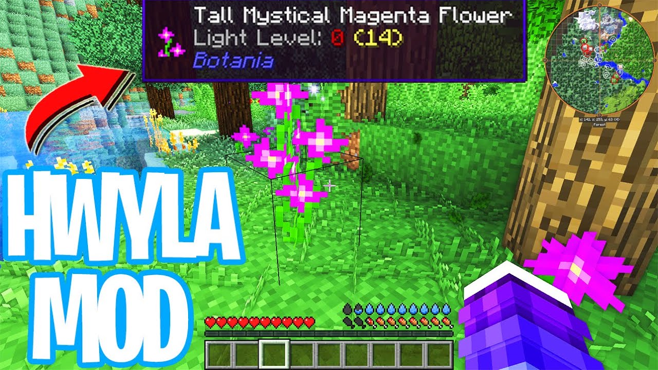 👀MOD que MOSTRA para O QUE ESTOU OLHANDO no Minecraft 🤩 | HWYLA MOD ...