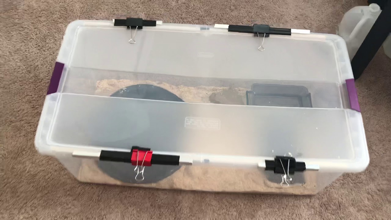 Another Snake Bin Cage How To - YouTube