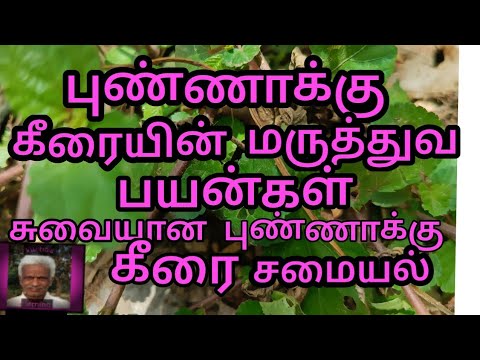 @kitchasfarming புண்ணாக்கு கீரையின் மருத்துவ பயன்கள் medicinal benefits ...
