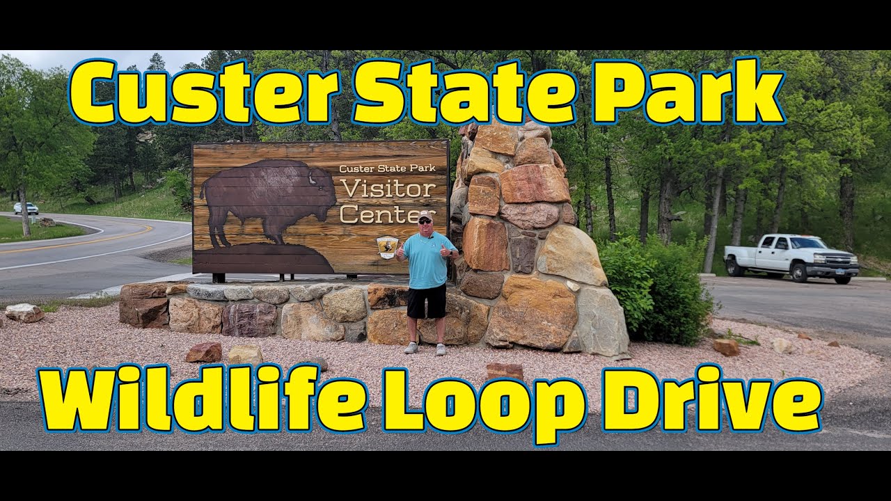 Custer State Park Famous Wildlife Loop! - YouTube