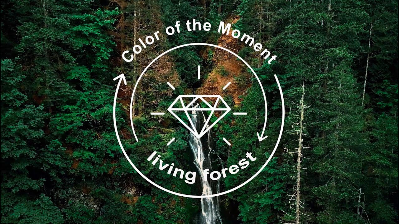Color of the Moment: Living Forest - YouTube