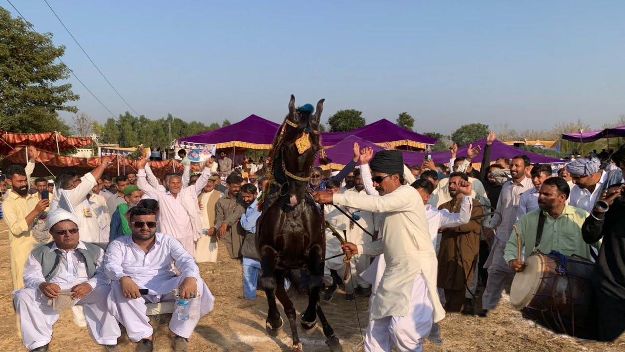 Best Horse Dance Jaltan Azad kashmir2024🐎🇵🇰 - YouTube