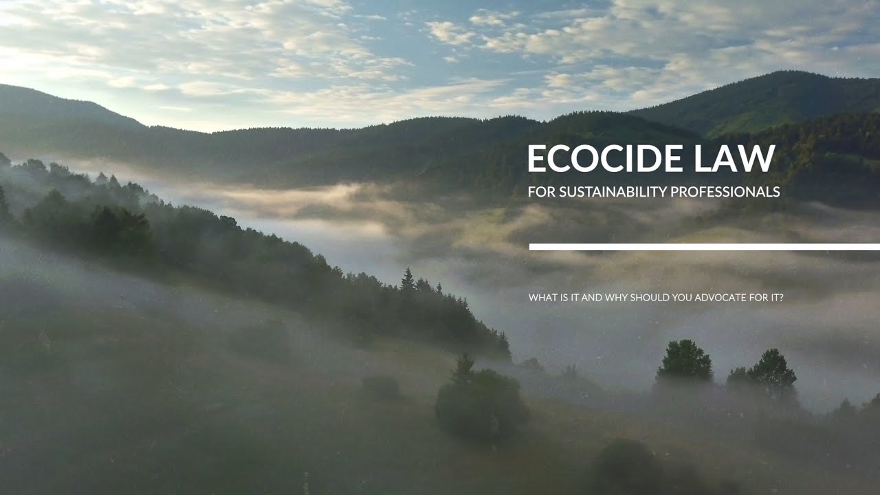 Ecocide Law for Sustainability Professionals: What is it and why should ...