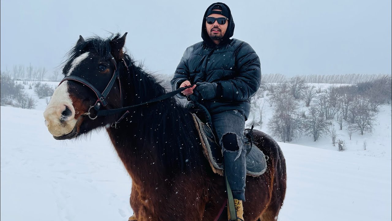 Horse riding on snow lands ️ ⛄️ / Almaty Kazakhstan - YouTube
