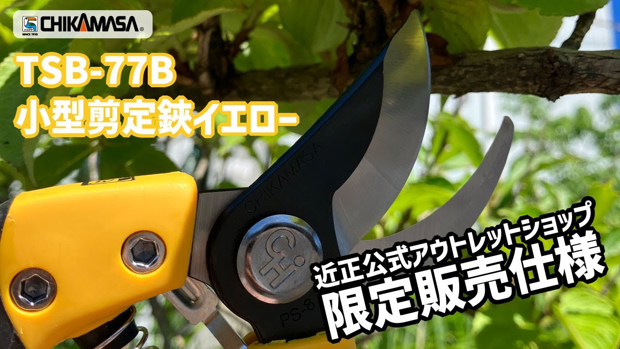 TSB-77B【イエロー】/小型剪定鋏イエロー【CHIKAMASA】 - YouTube